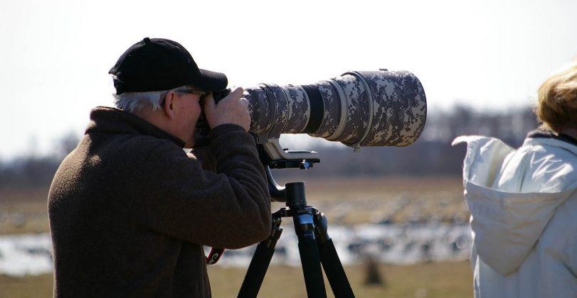 Spectacular Bird Watching: Visit These Top Places to Watch Rare Birds