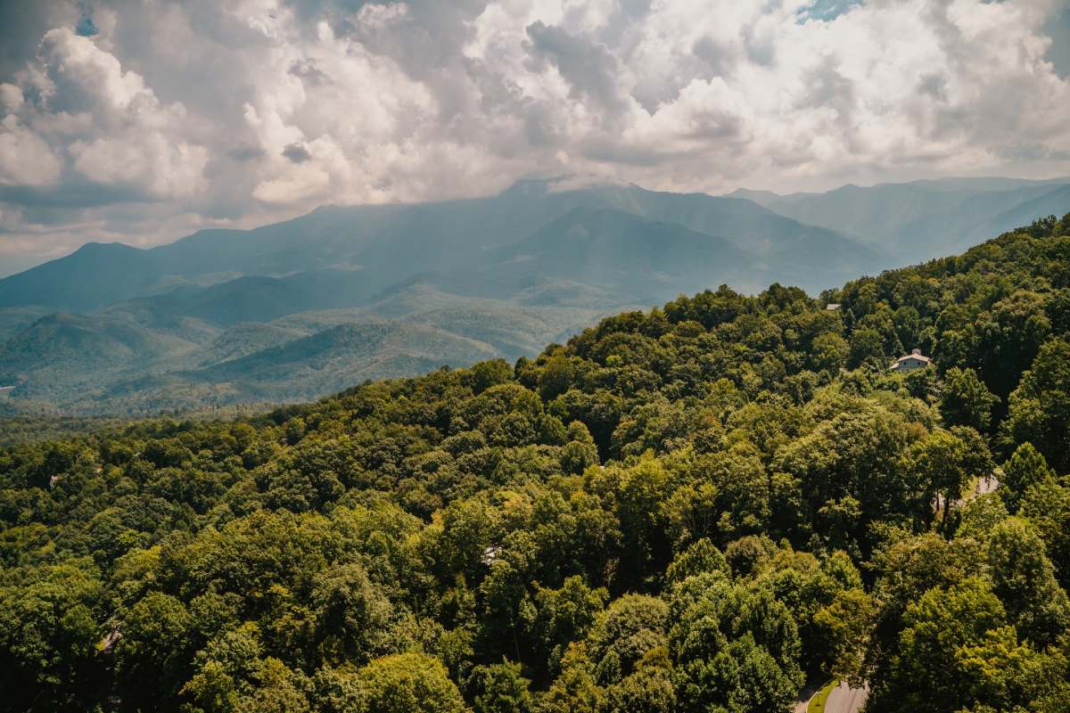 5 reasons why the great Smokey Mountains should be your next vacation ...